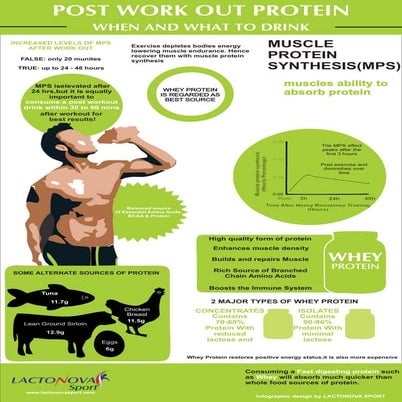 Infografic of whey protein | PDF