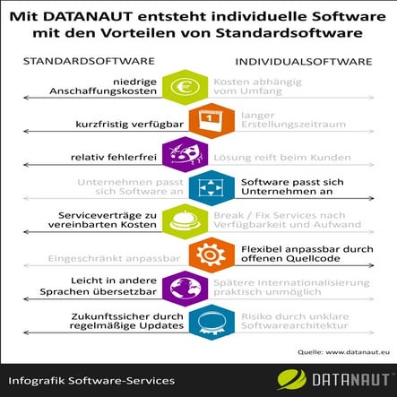 Infografik: Standardsoftware im Vergleich mit Individualsoftware