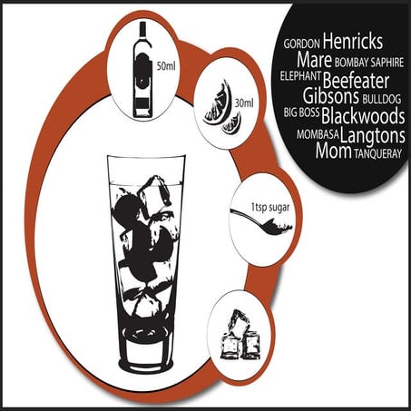 Infografia Sobre Gin | PDF
