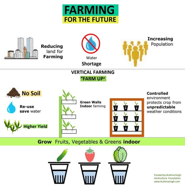 Vertical Farming: Challenges and Opportunities | PPTX