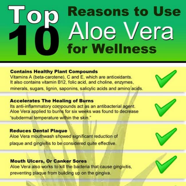 Infographic aloe-vera-uses | PDF | Herbs and Supplements | Alternative ...