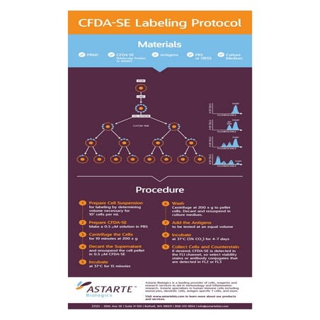 CFDA-SE Labeling Protocol | PPT