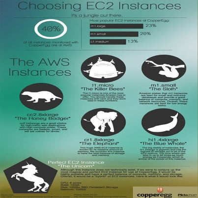 Infographic - Choosing EC2 Instances: Honey Badger or Sloth? | PDF