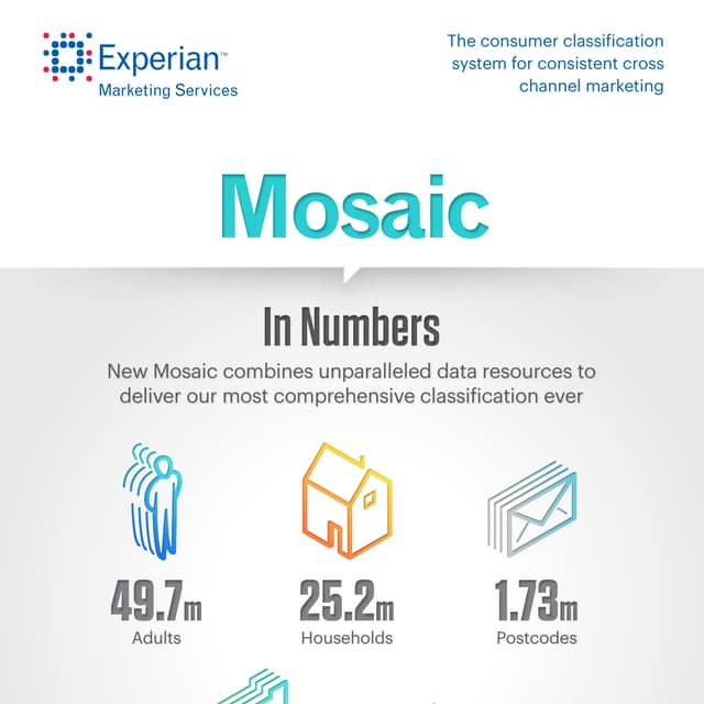 Mosaic cross-channel segmentation infographic | PDF