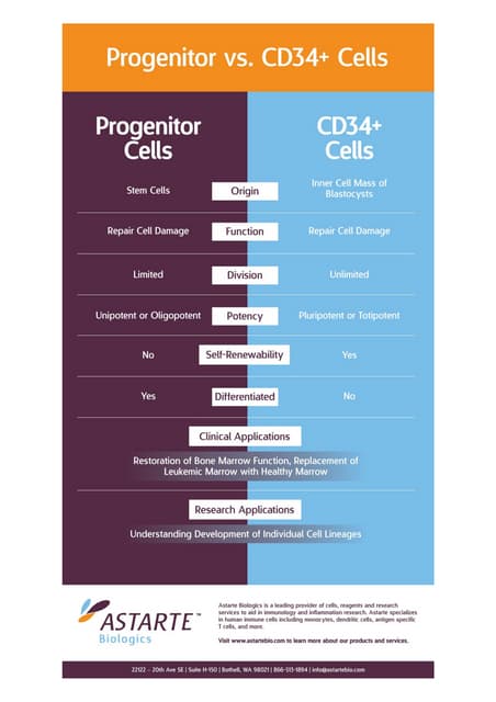 CFDA-SE Labeling Protocol | PDF