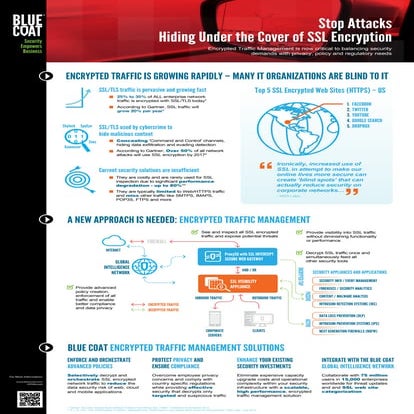SSL visibility solution brochure
