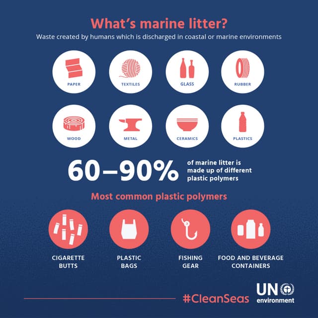 UN Environment Clean Seas Infographic | PDF