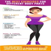 The Best Exercises for Different Body Parts