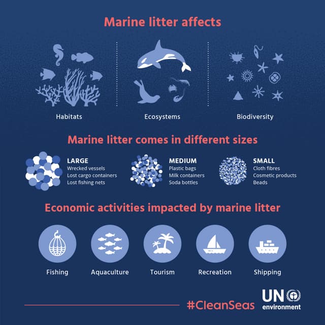 UN Environment Clean Seas Infographic | PDF