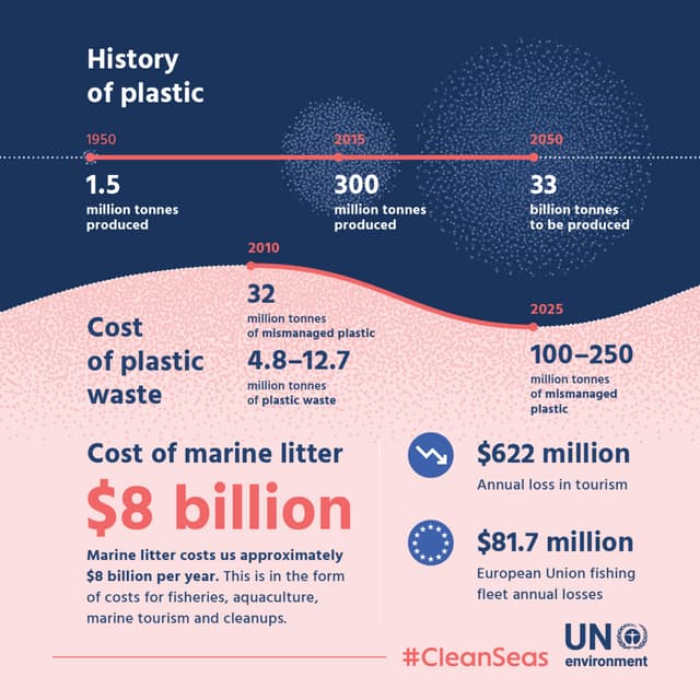 UN Environment Clean Seas Infographic | PDF