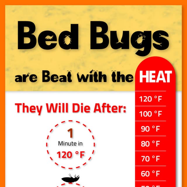 Bed Bugs Infographic | PDF