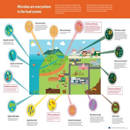 infographic_final-EN.pdf