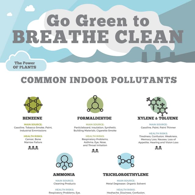 Go Green to Breathe Clean Infographic | PDF