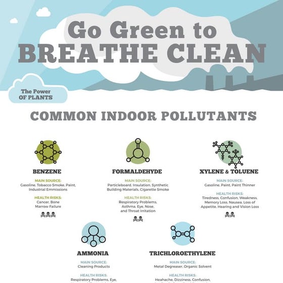 Chemistry and toxicology easy presentation 090890 | PPT