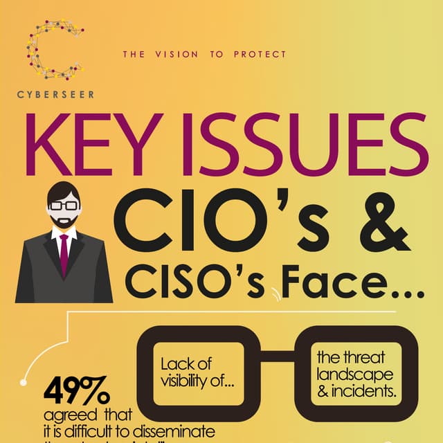 Infographic - Key Issues CIO's and CISO's Face | PDF