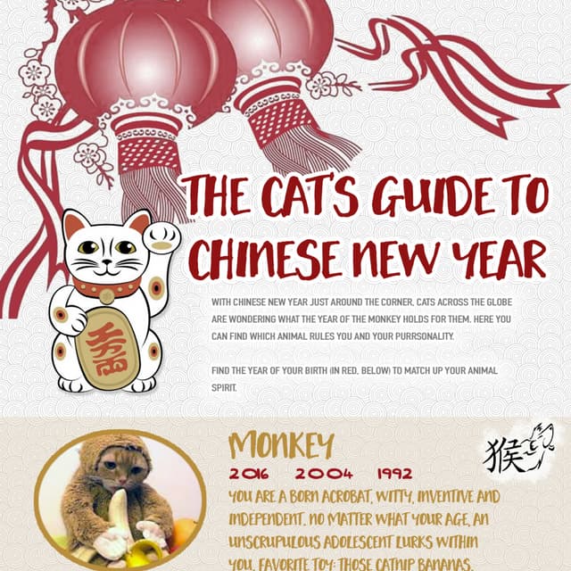 The Cat's Guide to Chinese New Year INFOGRAPHIC | PDF
