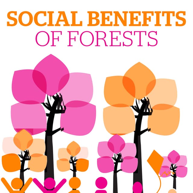 Infographic social benefits_forests - Forest Europe | PDF