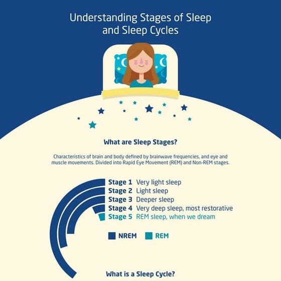 Sleep and your_brain. | PPT