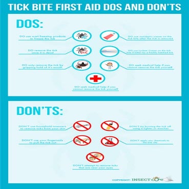 Tick bite first aid | PDF