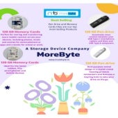 Buy Secured and Best Build Quality Storage Devices | MoreByte | PDF