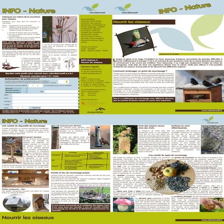 Brochure BSP 2016 | PDF