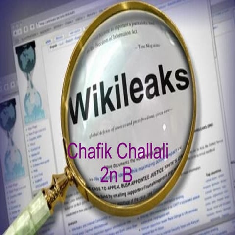 chafik wikileaks | PPT