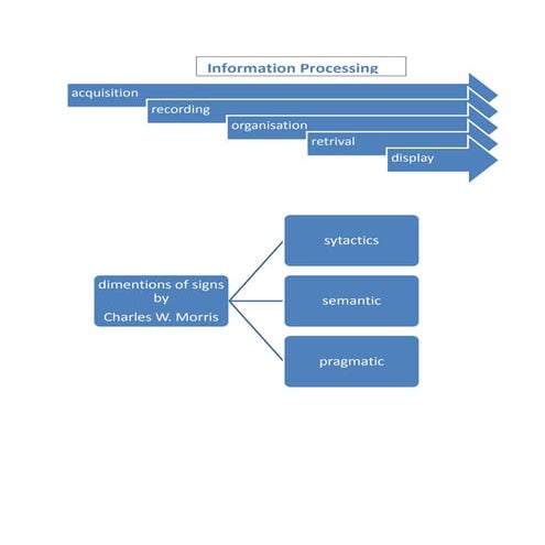 Information process digram | PDF