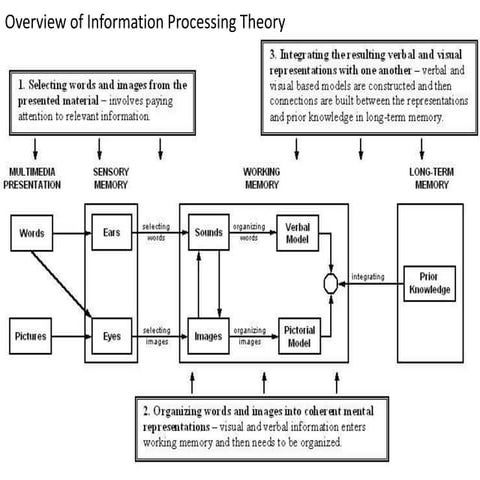 Info process theory | PPTX