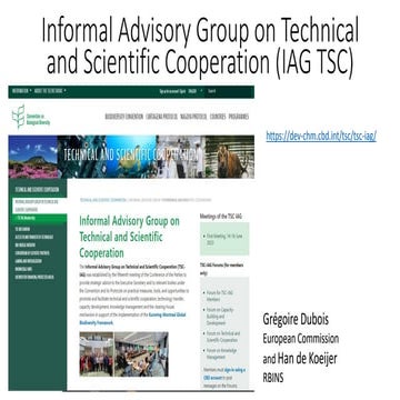 Informal Advisory Group on Technical and Scientific Cooperation (IAG ...