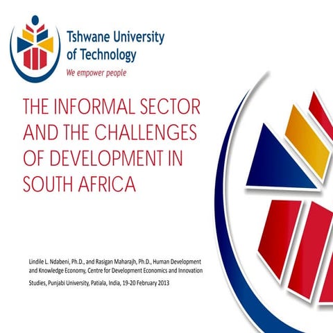Informal Sector and the Challenges of Development in South Africa | PDF
