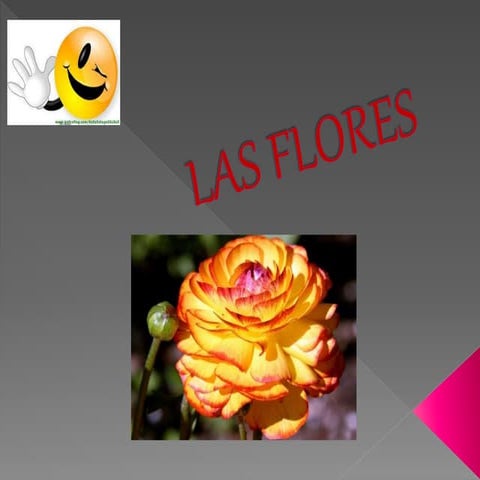LAS FLORES | PPTX
