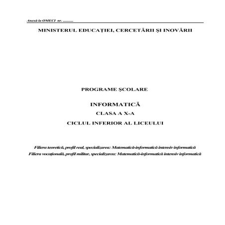 Informatica intensiv10 liceu | PDF