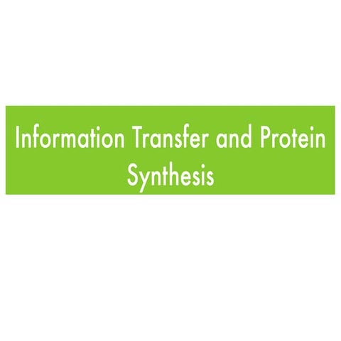 Information Transfer part 1 | PDF