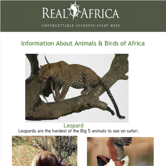 Information About Animals & Birds of Africa | PDF