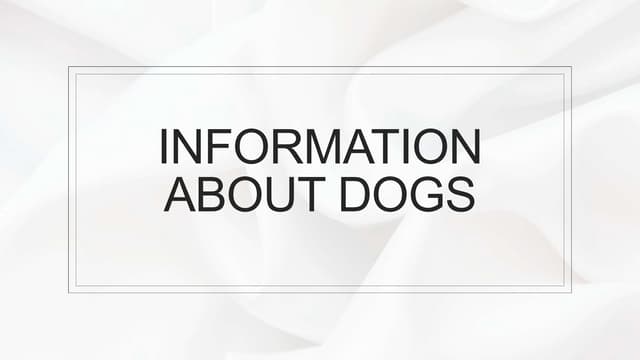 10 Lines on Dog & Interesting Facts about Dog | PPTX