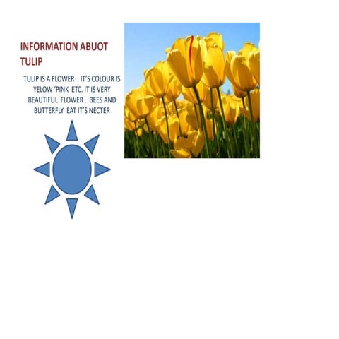 INFORMATION ABUOT TULIP power point presentation | PPT