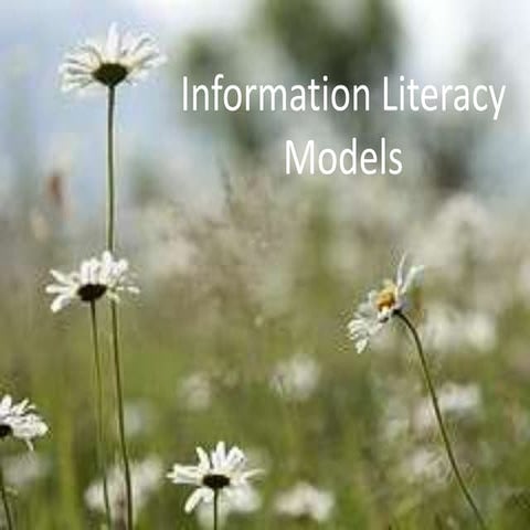 Information literacy models | PPTX | Education