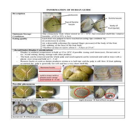 Information of durian guide | DOCX
