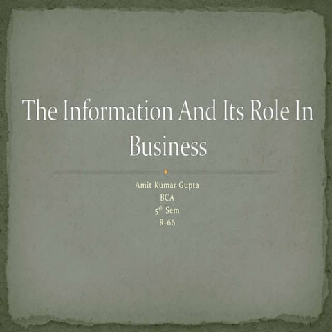 The Information And Its Role In Business | PPTX