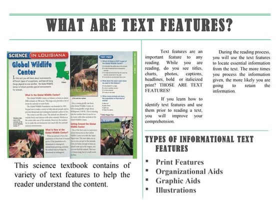 Informational text powerpoint | PDF
