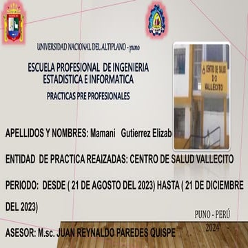 INFORME-FINAL_PRACTICAS PREPROFESIONALES_ELIZABETH_MAMANI_GUTIERREZ.pptx
