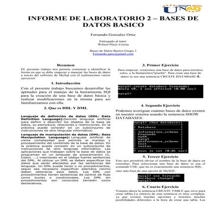 Informe base de datos basico 2 | PDF | Databases | Computer Software and Applications