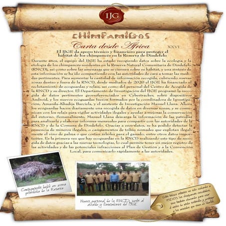Informe chimpamig@s Lemba | PDF