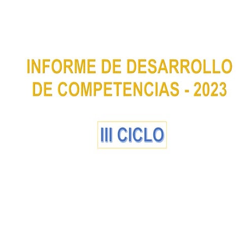 informe de competencias TERCER GRADO.docx
