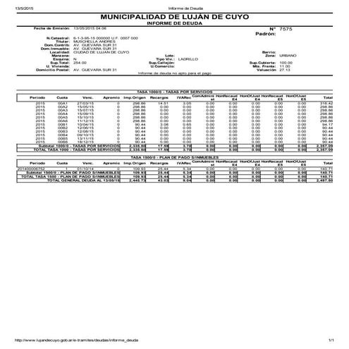 Informe de deuda | PDF
