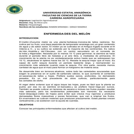Informe de las enfermedades del melon | PDF