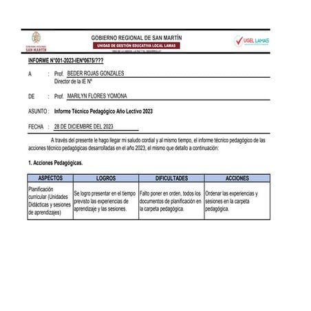 INFORME PEDAGÓGICO DE PRIMER GRADO Y SEGUNDO GRADO DE PRIMARIA | PDF