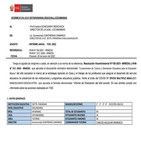 INFORME FINAL DE TUTORIA, sobre como organizar la informacion tutorial | PDF