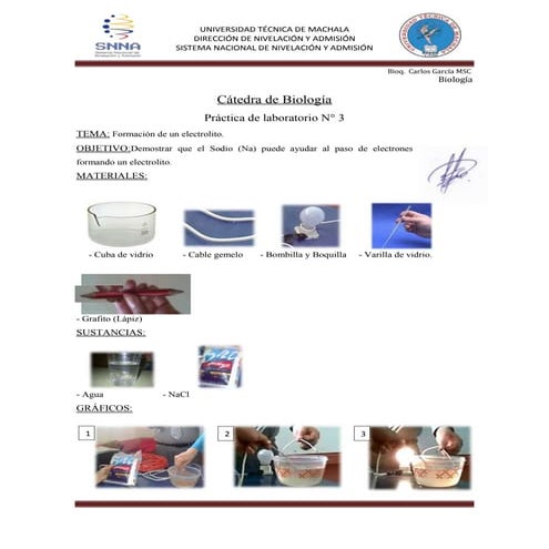 EXPERIMENTO: FORMACIÓN DE UN ELECTROLITO (Informe) | DOCX