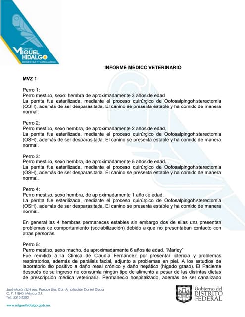 Informe medico ingles.